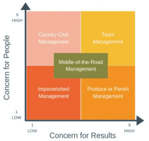 Blake Mouton Grid: 5 Leadership Types for People and Production